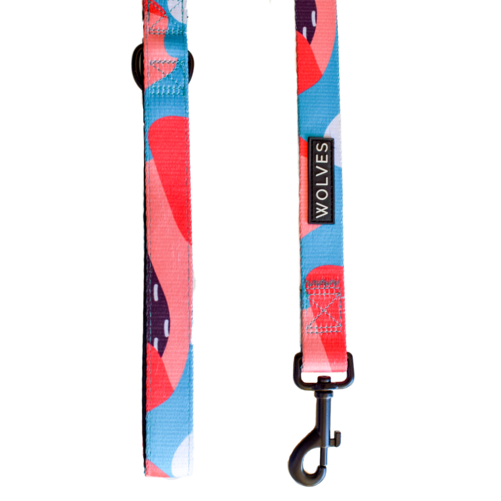 Wolves of Wellington Floss Standard Dog Lead | Smack Bang